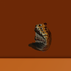 Chomikception | Find The Chomiks Wiki | Fandom