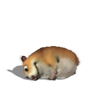 Chomik on the Floor | Find The Chomiks Wiki | Fandom