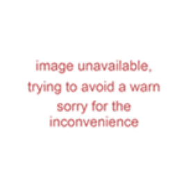 Cipher Chomik | Find The Chomiks Wiki | Fandom