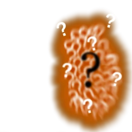 Mega Secret Chomik | Find The Chomiks Wiki | Fandom