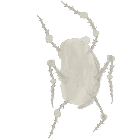 Crawler Chomik | Find The Chomiks Wiki | Fandom