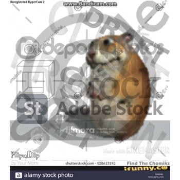 Watermark Chomik | Find The Chomiks Wiki | Fandom