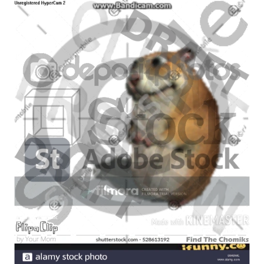 Watermark Chomik | Find The Chomiks Wiki | Fandom