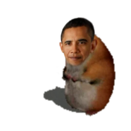 Obamik | Find The Chomiks Wiki | Fandom