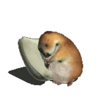 Sleeping Chomik | Find The Chomiks Wiki | Fandom