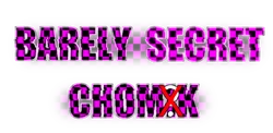 Barely Secret Chomik | Find The Chomiks Wiki | Fandom