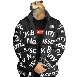 Dripped Out Chomik | Find The Chomiks Wiki | Fandom