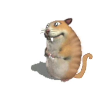 Cat Chomik | Find The Chomiks Wiki | Fandom