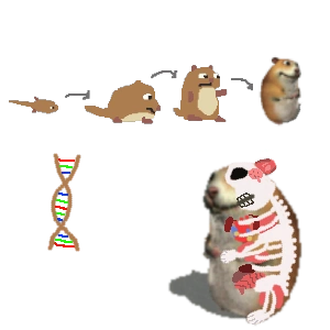 Chombiology | Find The Chomiks Wiki | Fandom