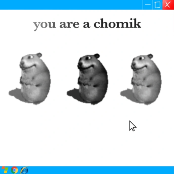 You Are a Chomik | Find the Chomiks Wiki | Fandom