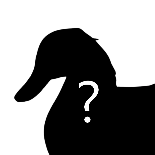 Secret Goose | Find The Geese Wiki | Fandom