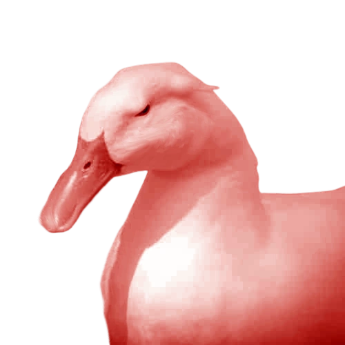 Angry Goose | Find The Geese Wiki | Fandom