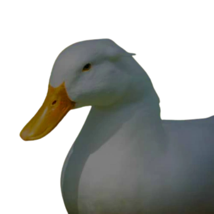 Dark Goose | Find The Geese Wiki | Fandom