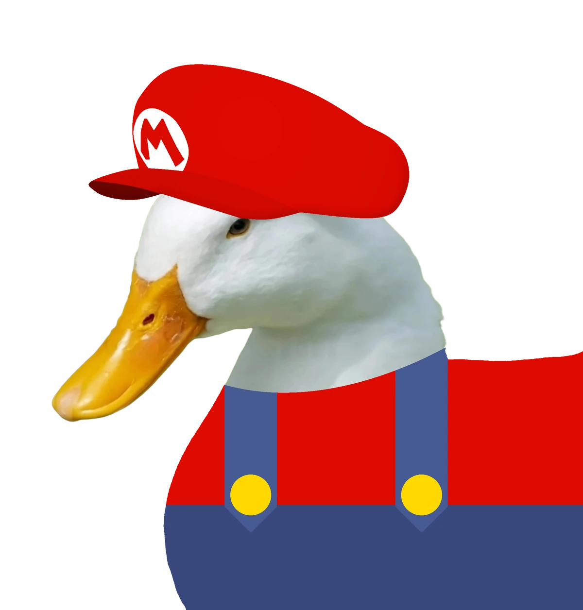 Mario Goose | Find The Geese Wiki | Fandom