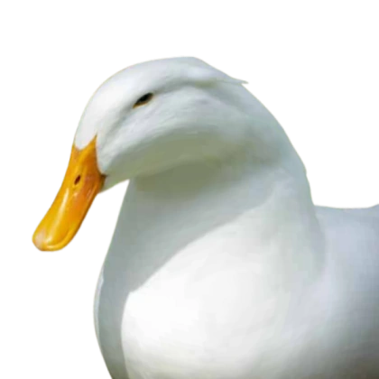 Fat Goose | Find The Geese Wiki | Fandom