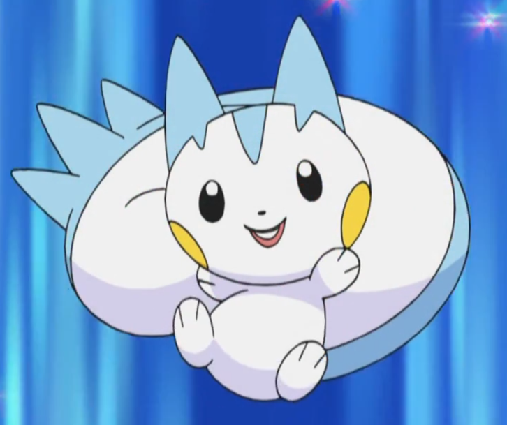 Haleys Pachirisu Finister Version Wiki Fandom