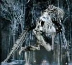 Skullasaurus | Finister2 Wiki | Fandom
