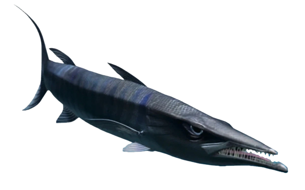 Barry | Finn's Multiverse Wiki | Fandom