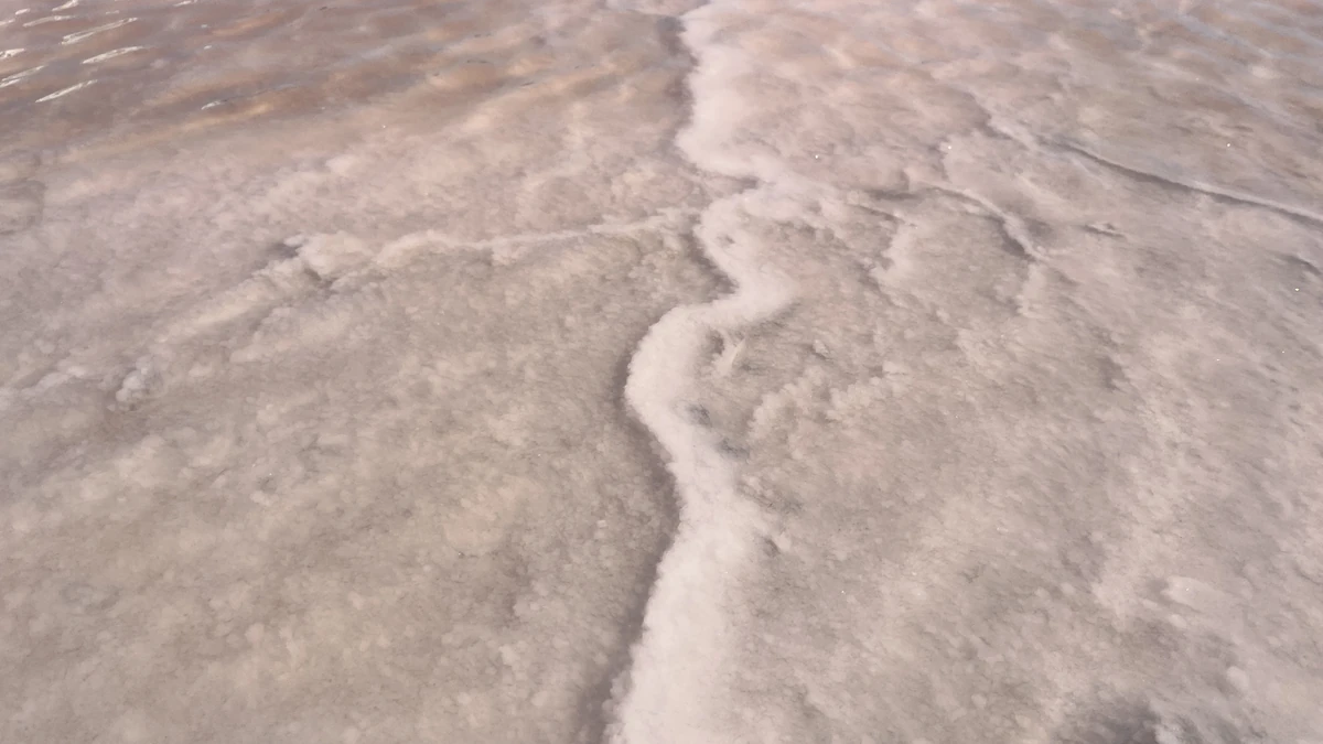Salt Fault | Finnvian Wiki | Fandom