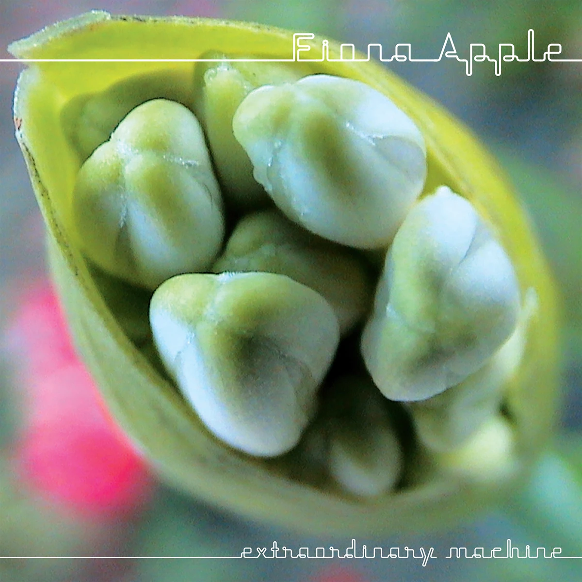 Extraordinary Machine (song) | Fiona Apple Wiki | Fandom