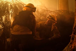 Pilot | Fire Country Wiki | Fandom