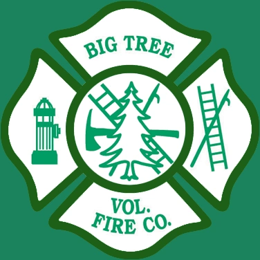 Big Tree Volunteer Fire Company | Firefighting Wiki | Fandom