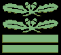 Waffen-SS Ranking | FirearmCentral Wiki | Fandom