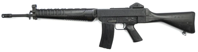 SAR 80 | FirearmCentral Wiki | Fandom