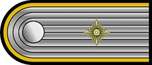 Waffen-SS Ranking | FirearmCentral Wiki | Fandom