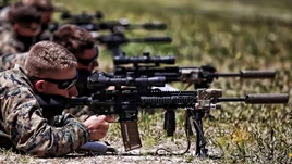 M38 Designated Marksman Rifle | FirearmCentral Wiki | Fandom