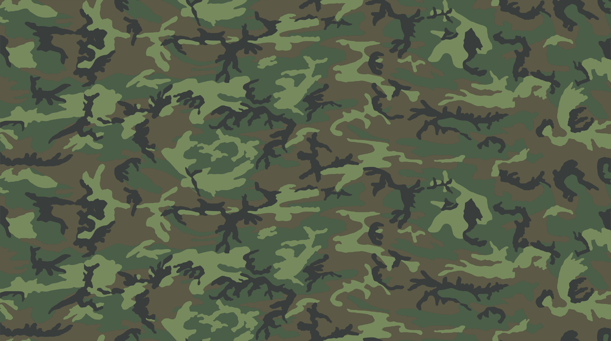 ERDL Pattern | FirearmCentral Wiki | Fandom