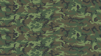 ERDL Pattern | FirearmCentral Wiki | Fandom