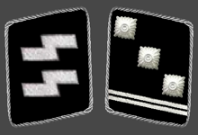 Waffen-SS Ranking | FirearmCentral Wiki | Fandom