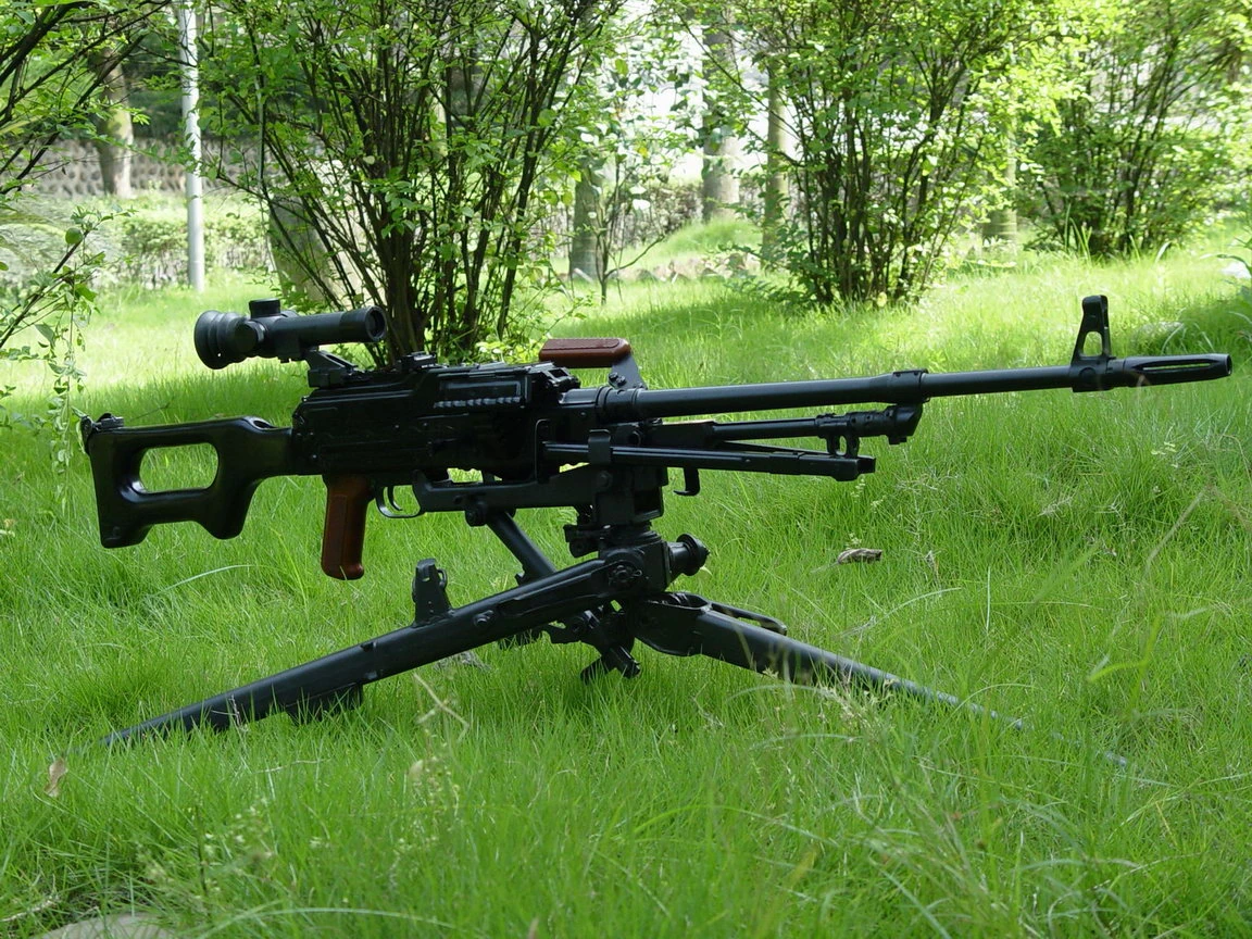 Lm4 Rifle