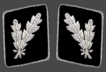 Waffen-SS Ranking | FirearmCentral Wiki | Fandom