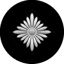 Waffen-SS Ranking | FirearmCentral Wiki | Fandom