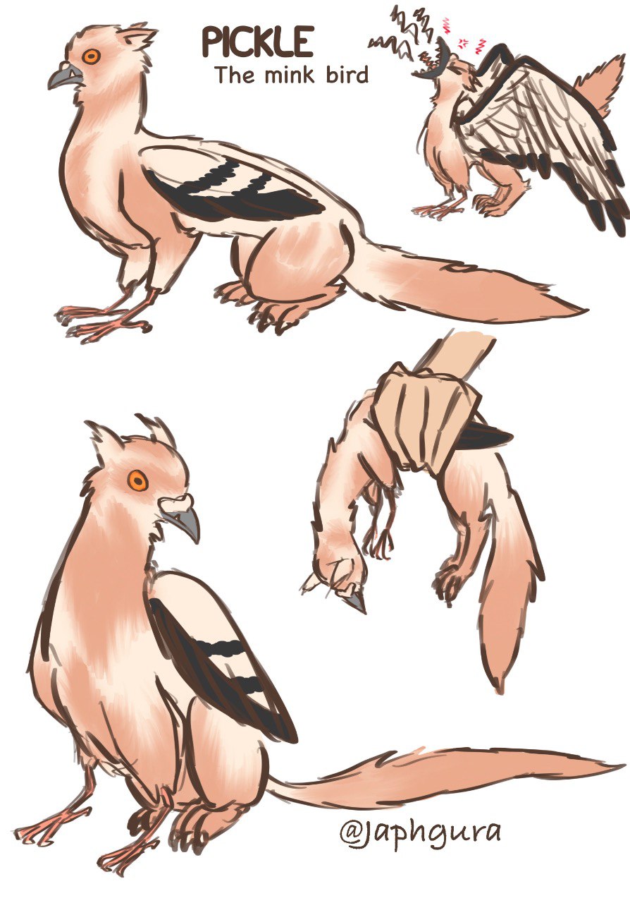Pickles The Minkbird Firebreathing Kittens Podcast Wiki Fandom
