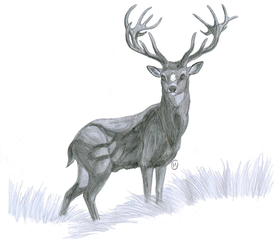 Rannoch | FireBringer Wiki | Fandom