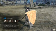 Aegis Shield when equipped on the Fortress Knight class