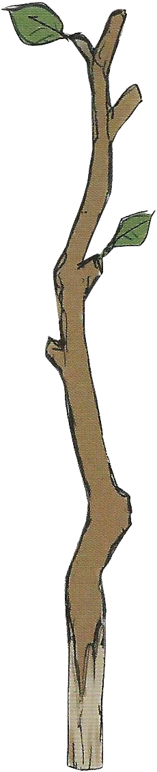 Tree Branch | Fire Emblem Wiki | Fandom