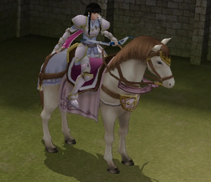 Paladin Arc | Wiki Fire Emblem | Fandom