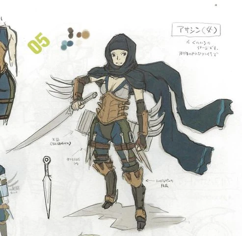 Assassin | Wiki Fire Emblem | Fandom