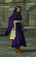 Sage | Fire Emblem Wiki | Fandom