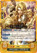 Brigid (character)/Gallery | Fire Emblem Wiki | Fandom
