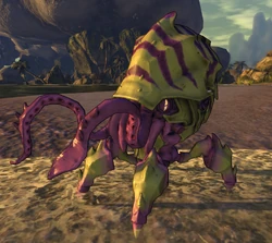 Nautili (Creature Type) - FireFall Wiki