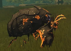 Scarab (Creature Type) - FireFall Wiki