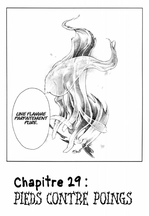 Chapitre 29 | Wiki Fire Force | Fandom