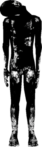 Slender Timorous | DISC-FF Wiki | Fandom