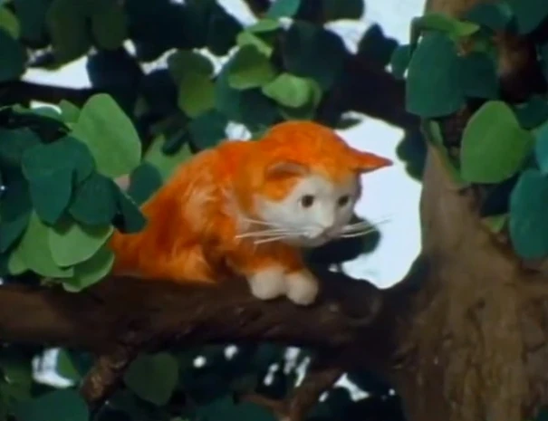 Lost Cat | Fireman Sam Wiki | Fandom