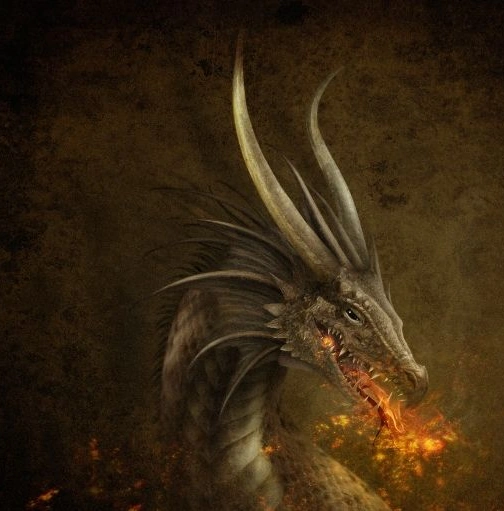 Dragons | Fire-Pk Wiki | Fandom